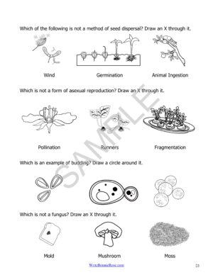 Plant Life Cycles, Pollination & Reproduction-Learning About Science ...