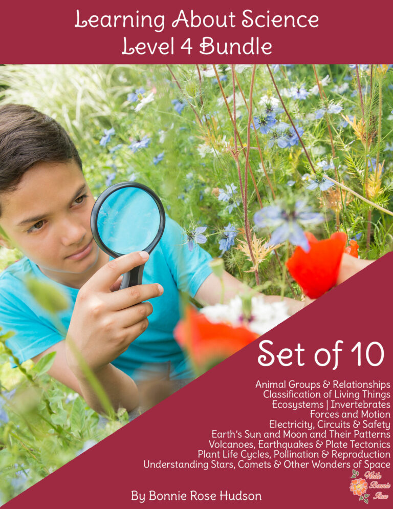 Learning About Science, Level 4 Bundle | Made By Teachers