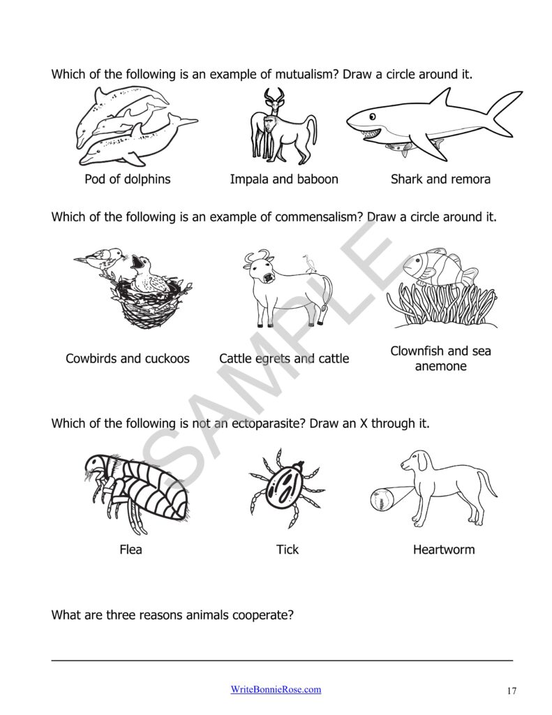 Learning About Science, Level 4 Bundle | Made By Teachers