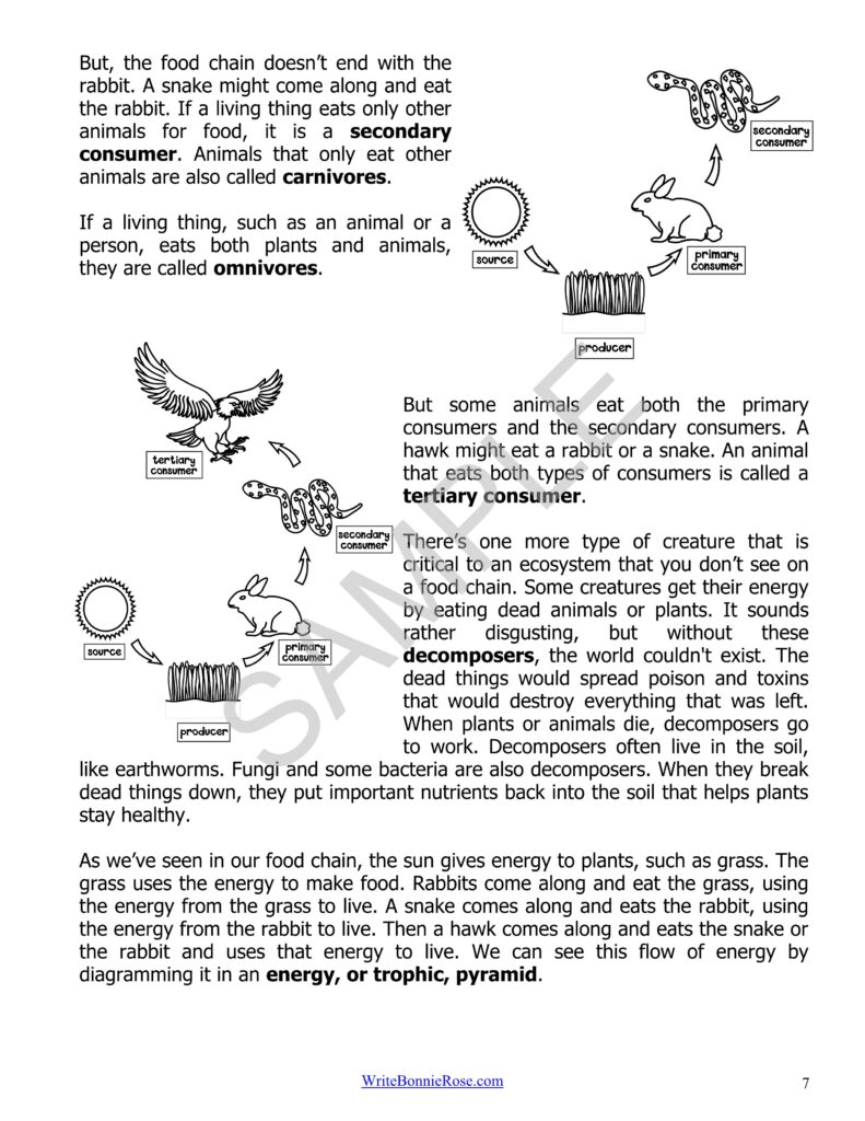 Learning About Science, Level 4 Bundle | Made By Teachers