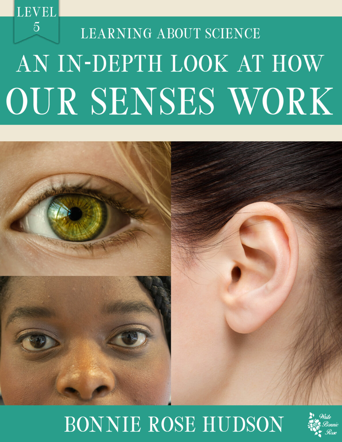 An In-Depth Look at How Our Senses Work-Learning About Science, Level 5 ...