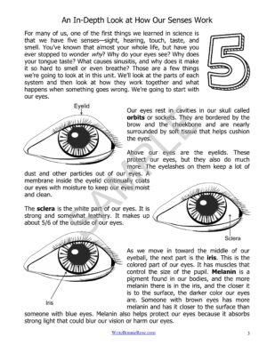 An In-Depth Look at How Our Senses Work-Learning About Science, Level 5 ...