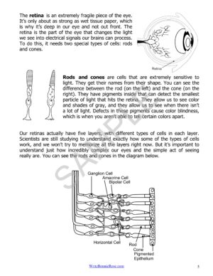 An In-Depth Look at How Our Senses Work-Learning About Science, Level 5 ...