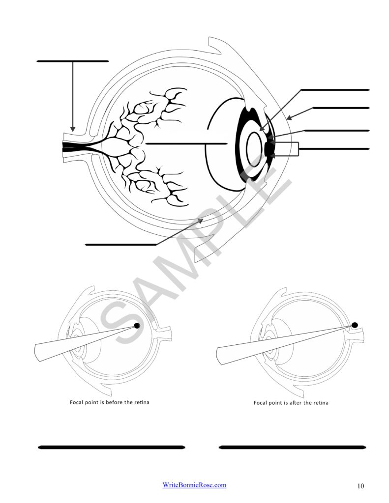 An In-Depth Look at How Our Senses Work-Learning About Science, Level 5 ...