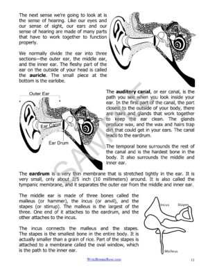An In-Depth Look at How Our Senses Work-Learning About Science, Level 5 ...
