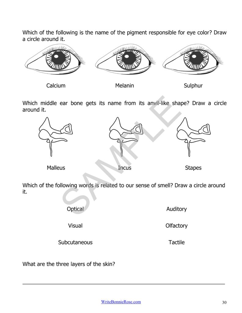 An In-Depth Look at How Our Senses Work-Learning About Science, Level 5 ...