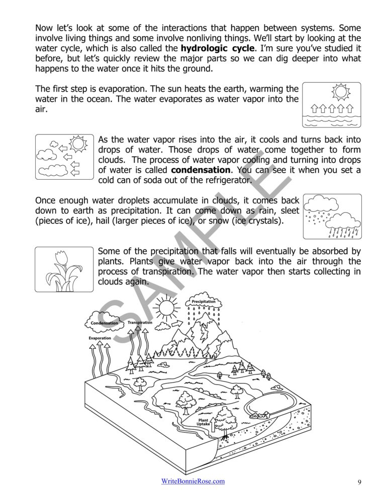 Earth's Cycles and Systems-Learning About Science, Level 5 | Made By ...