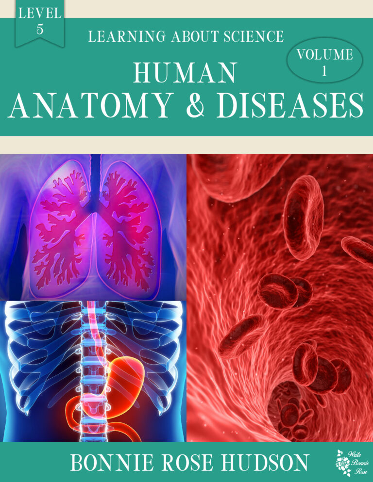 Human Anatomy and Diseases, Pt. 1-Learning About Science, Level 5 ...