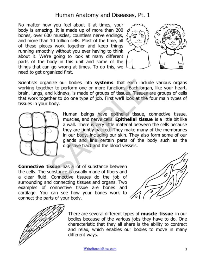 Human Anatomy and Diseases, Pt. 1-Learning About Science, Level 5 ...