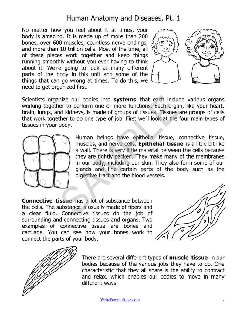 Human Anatomy and Diseases, Pt. 1-Learning About Science, Level 5 ...