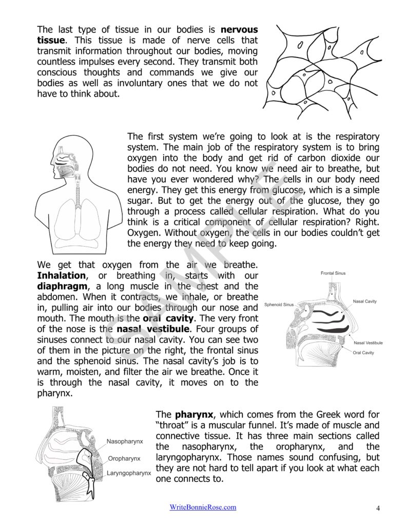 Human Anatomy and Diseases, Pt. 1-Learning About Science, Level 5 ...