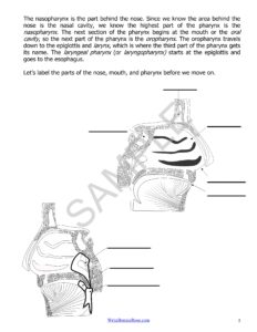 Human Anatomy and Diseases, Pt. 1-Learning About Science, Level 5 ...