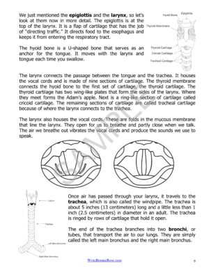 Human Anatomy and Diseases, Pt. 1-Learning About Science, Level 5 ...