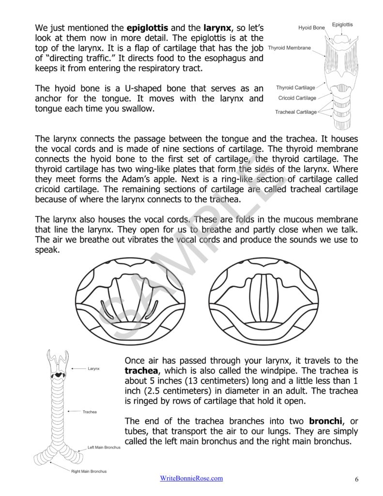 Human Anatomy and Diseases, Pt. 1-Learning About Science, Level 5 ...