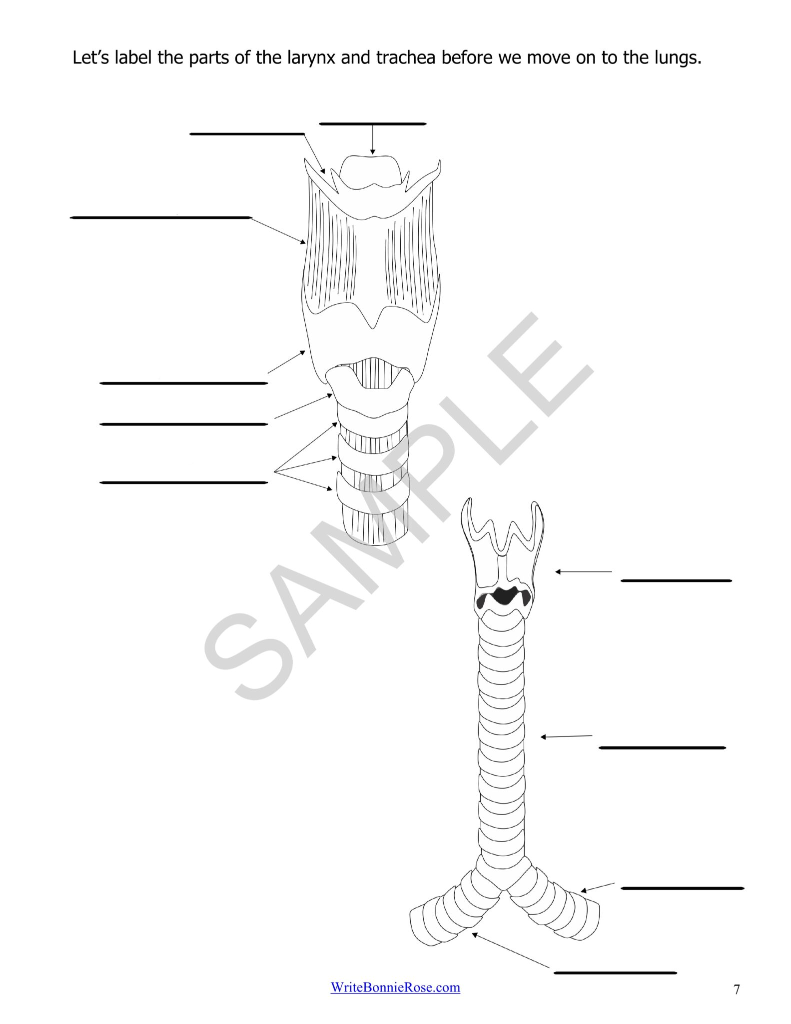 Human Anatomy and Diseases, Pt. 1-Learning About Science, Level 5 ...