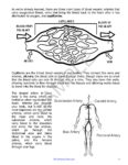 Human Anatomy and Diseases, Pt. 1-Learning About Science, Level 5 ...