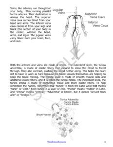 Human Anatomy and Diseases, Pt. 1-Learning About Science, Level 5 ...