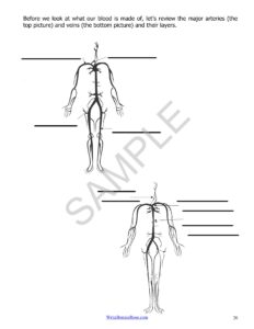 Human Anatomy and Diseases, Pt. 1-Learning About Science, Level 5 ...