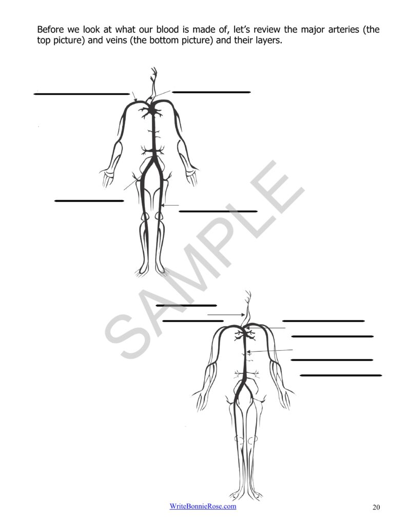 Human Anatomy and Diseases, Pt. 1-Learning About Science, Level 5 ...