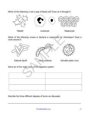 Human Anatomy and Diseases, Pt. 1-Learning About Science, Level 5 ...