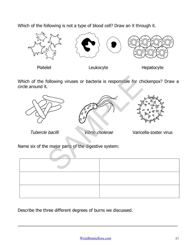 Human Anatomy and Diseases, Pt. 1-Learning About Science, Level 5 ...