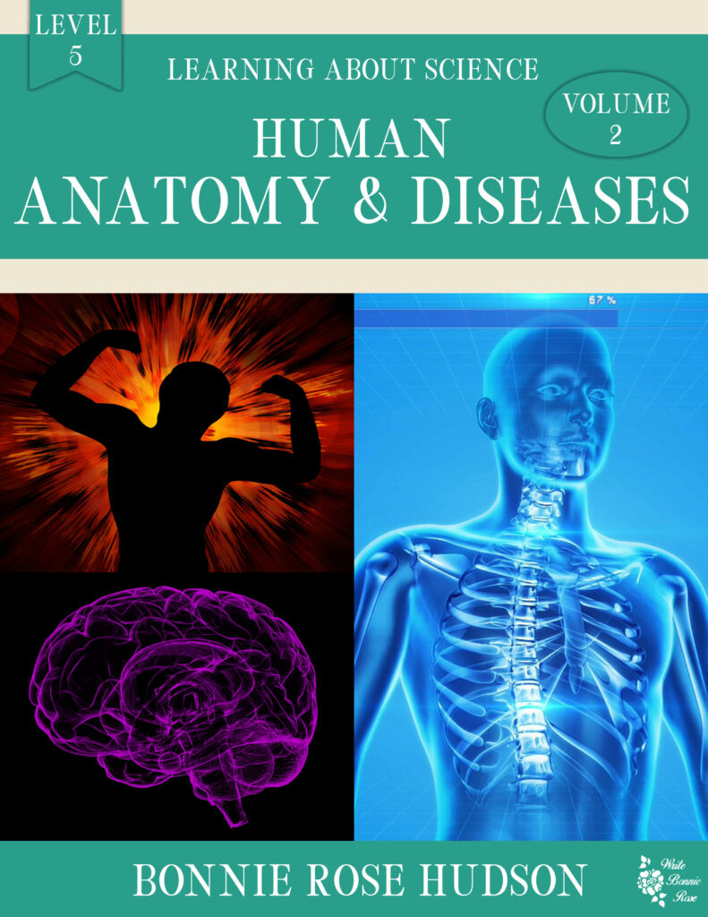 Human Anatomy and Diseases, Pt. 2-Learning About Science, Level 5 ...