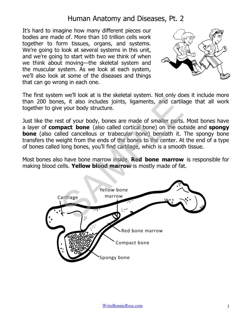 Human Anatomy and Diseases, Pt. 2-Learning About Science, Level 5 ...