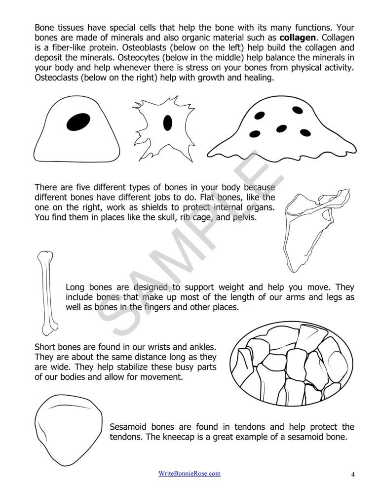 Human Anatomy and Diseases, Pt. 2-Learning About Science, Level 5 ...