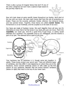 Human Anatomy and Diseases, Pt. 2-Learning About Science, Level 5 ...