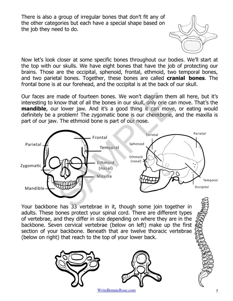 Human Anatomy and Diseases, Pt. 2-Learning About Science, Level 5 ...
