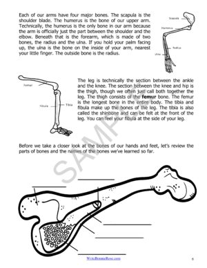 Human Anatomy and Diseases, Pt. 2-Learning About Science, Level 5 ...