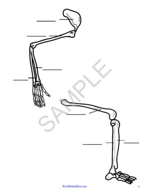 Human Anatomy and Diseases, Pt. 2-Learning About Science, Level 5 ...