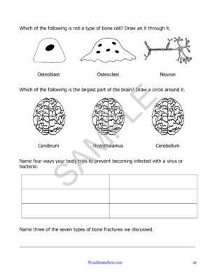Human Anatomy and Diseases, Pt. 2-Learning About Science, Level 5 ...