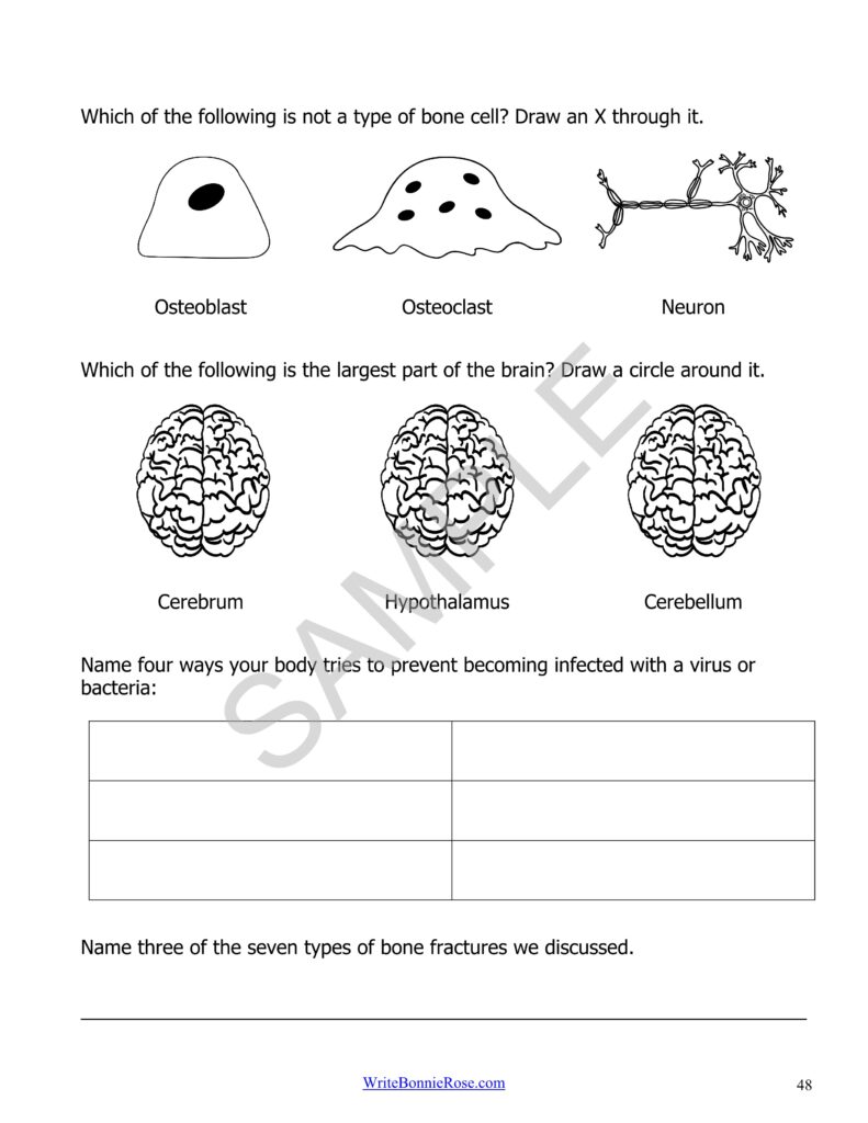 Human Anatomy and Diseases, Pt. 2-Learning About Science, Level 5 ...