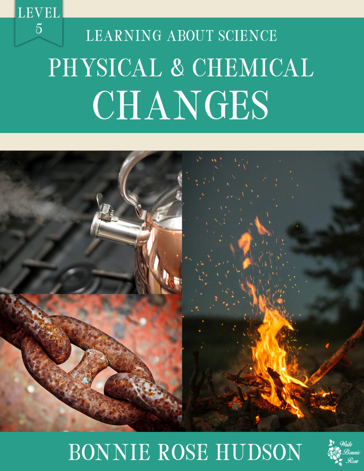 Physical and Chemical Changes-Learning About Science, Level 5 | Made By ...