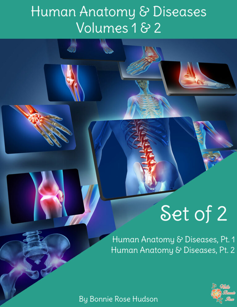 Human Anatomy & Diseases Volumes 1 & 2-Learning About Science, Level 5 ...