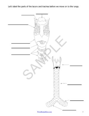 Human Anatomy & Diseases Volumes 1 & 2-Learning About Science, Level 5 ...
