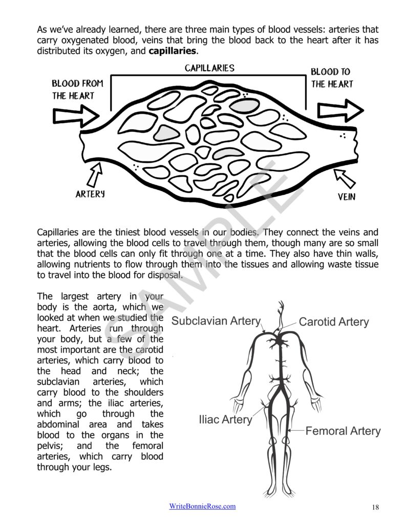 Human Anatomy & Diseases Volumes 1 & 2-Learning About Science, Level 5 ...