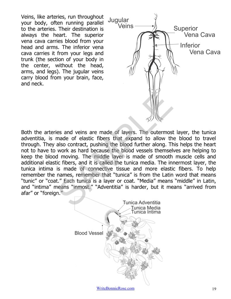 Human Anatomy & Diseases Volumes 1 & 2-Learning About Science, Level 5 ...