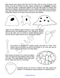 Human Anatomy & Diseases Volumes 1 & 2-Learning About Science, Level 5 ...