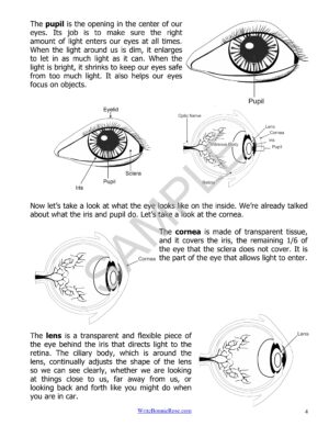 Learning About Science, Level 5 Bundle | Made By Teachers