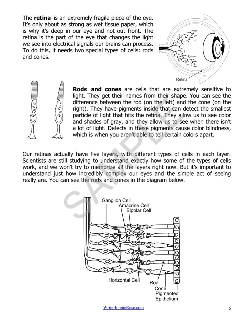 Learning About Science, Level 5 Bundle | Made By Teachers