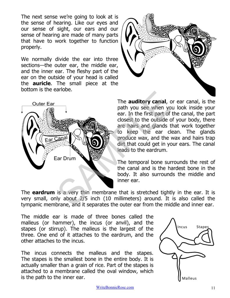 Learning About Science, Level 5 Bundle | Made By Teachers