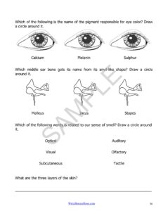 Learning About Science, Level 5 Bundle | Made By Teachers
