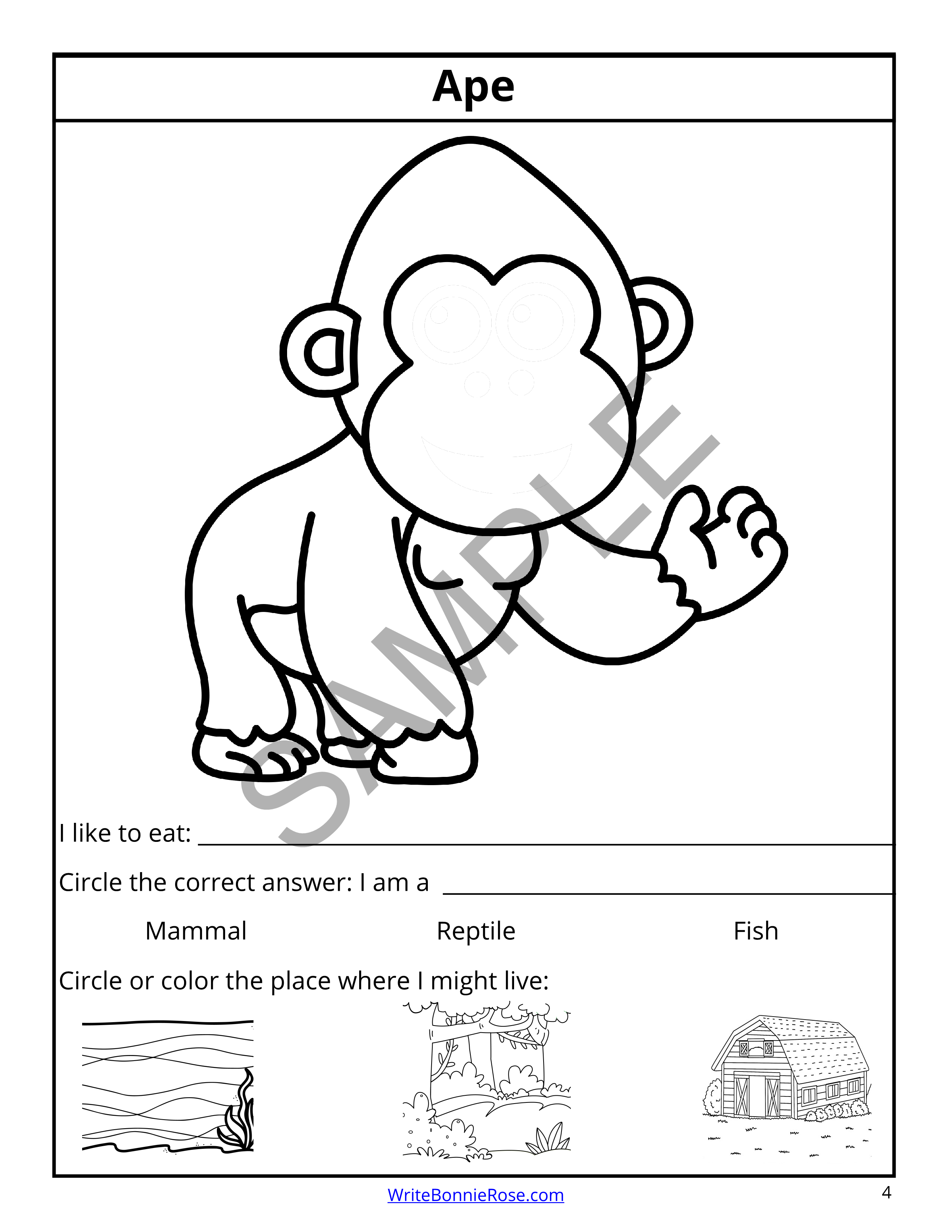 Animals and Where They Live | Made By Teachers