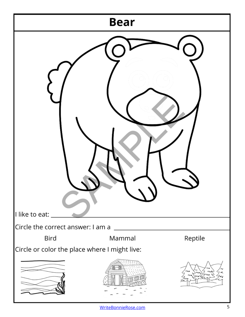 Animals and Where They Live | Made By Teachers