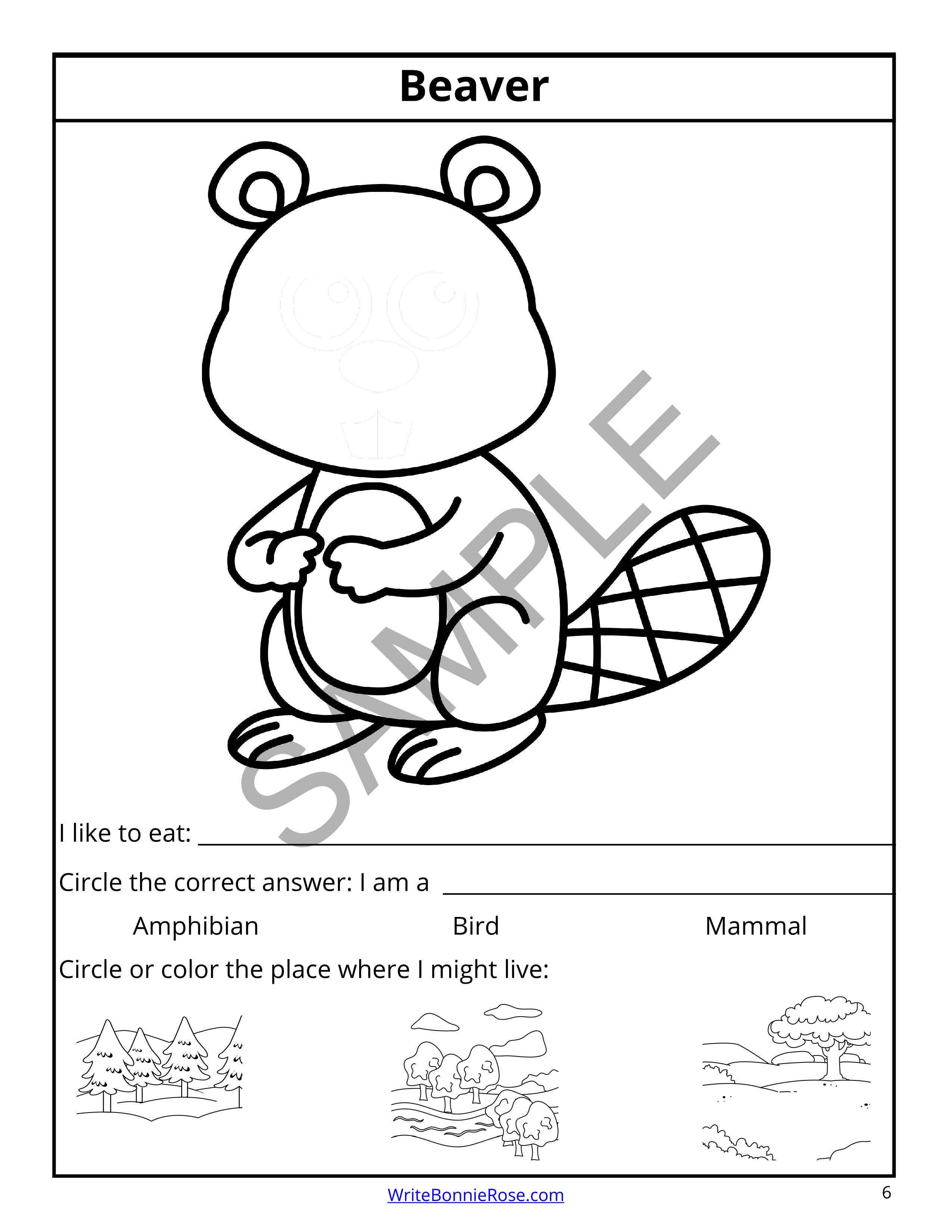 Animals and Where They Live | Made By Teachers