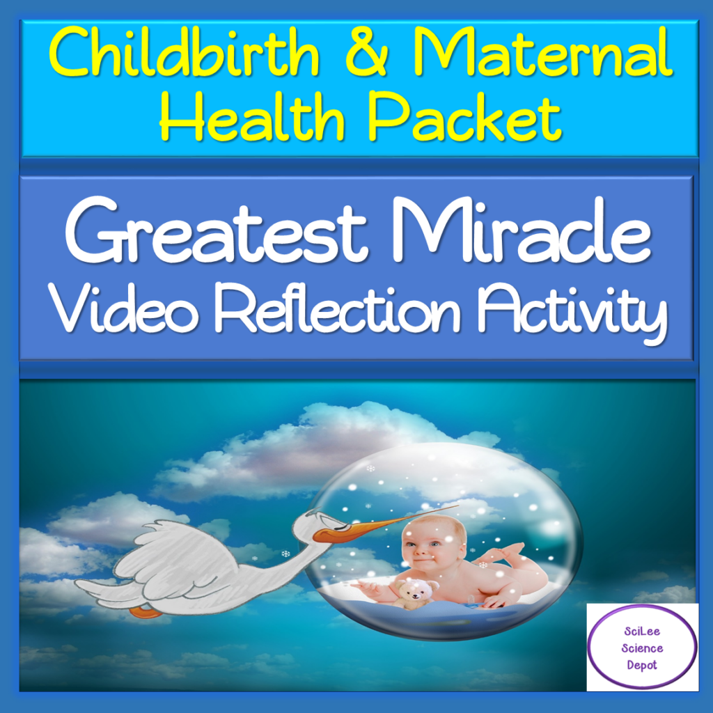Life Cycles: Greatest Miracle Video Reflection Activity | Made By Teachers