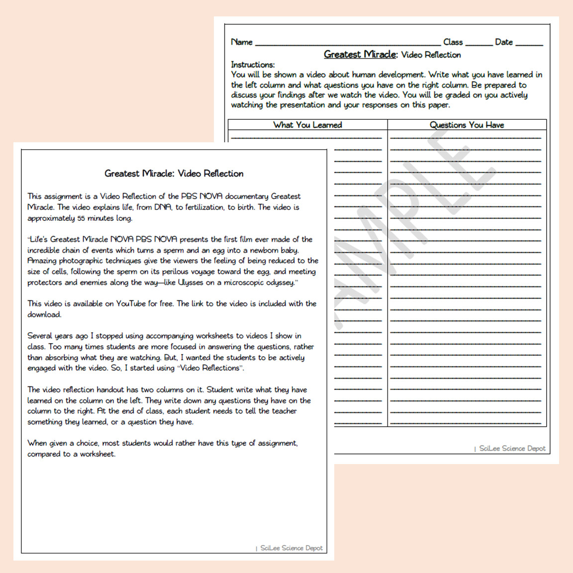 Life Cycles: Greatest Miracle Video Reflection Activity | Made By Teachers