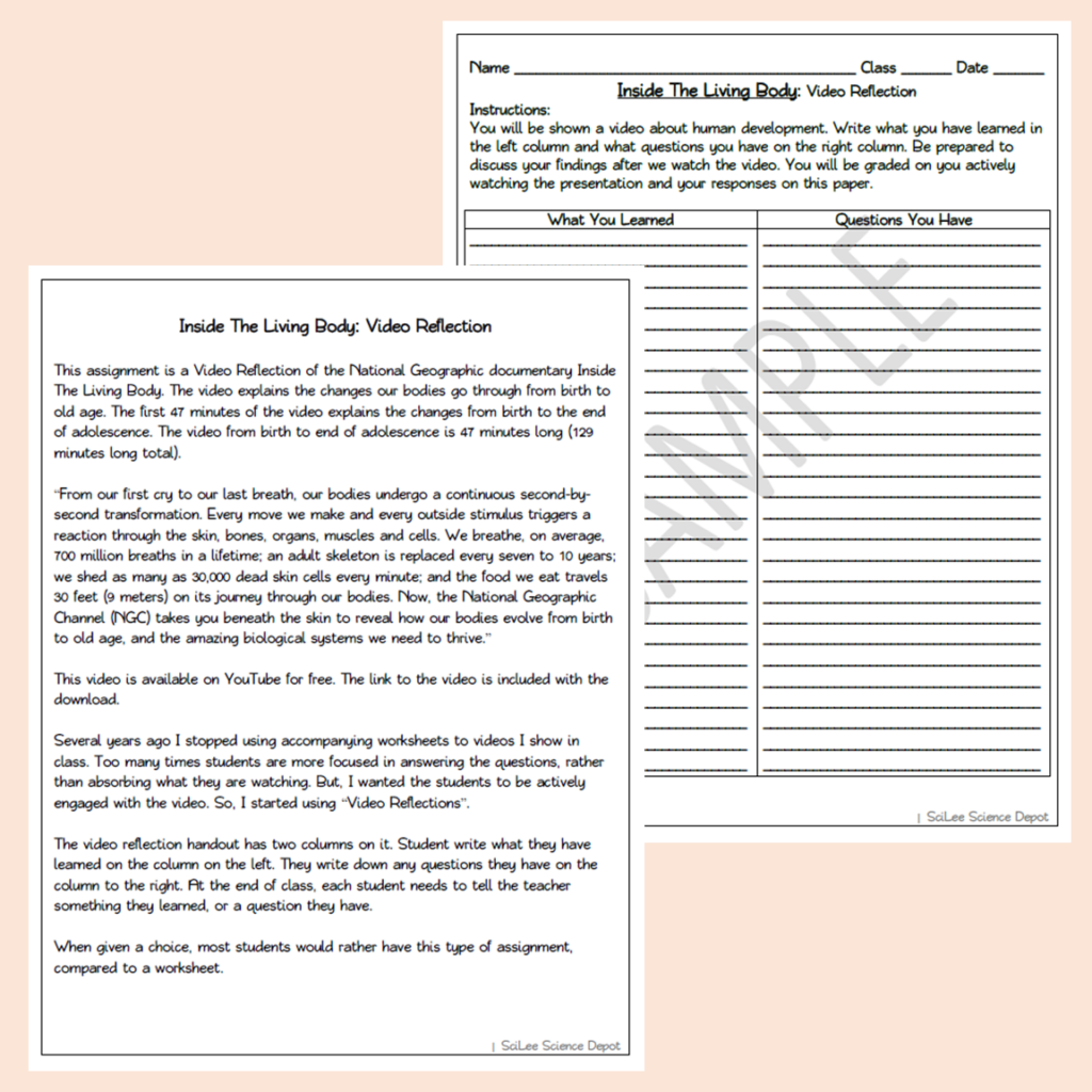 Life Cycles: Inside the Living Body- Video Reflection Activity | Made ...